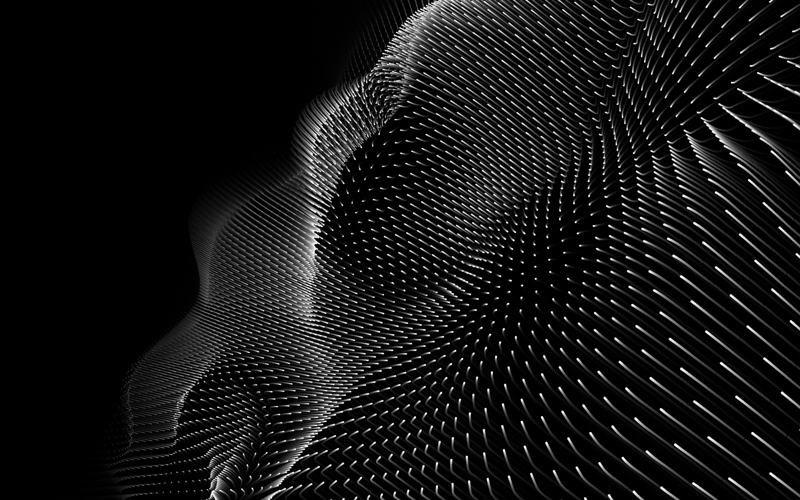 Mark Wheeler : Primary Forms