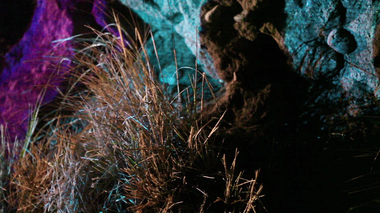 Mark Wheeler : Visual Sound Experiments